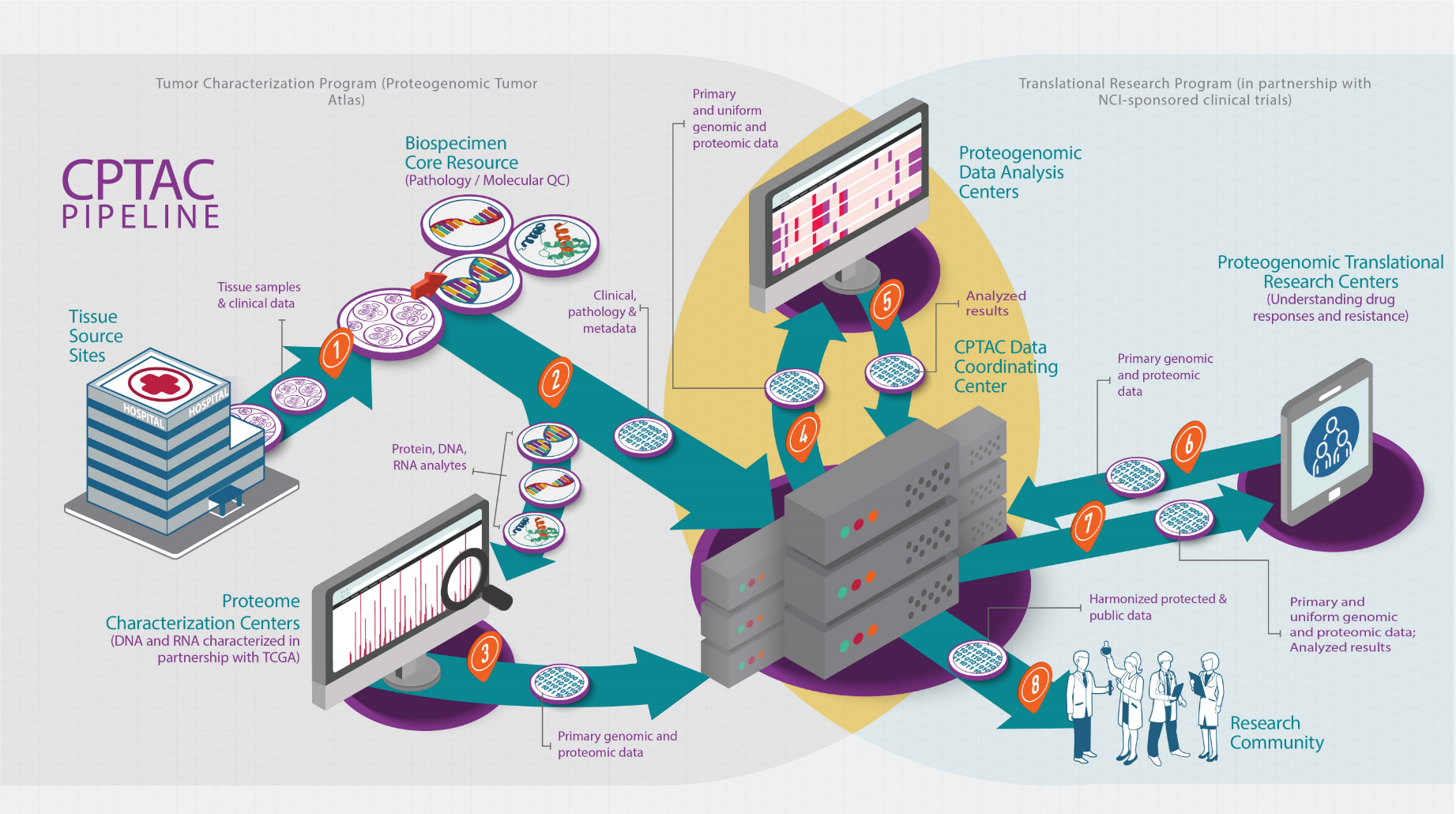 Clinical Proteomic Tumor Analysis Consortium (CPTAC) - NCI